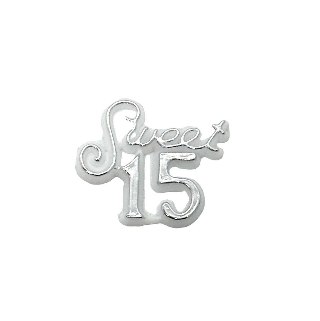 Sweet 15 Silver Plastic Charm (144 Pcs) – Jenly Wholesale Inc